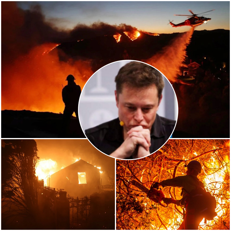 A HEART OF IRON CAN CRY: Elon Musk Quietly Adopts a Boy Orphaned in the ...