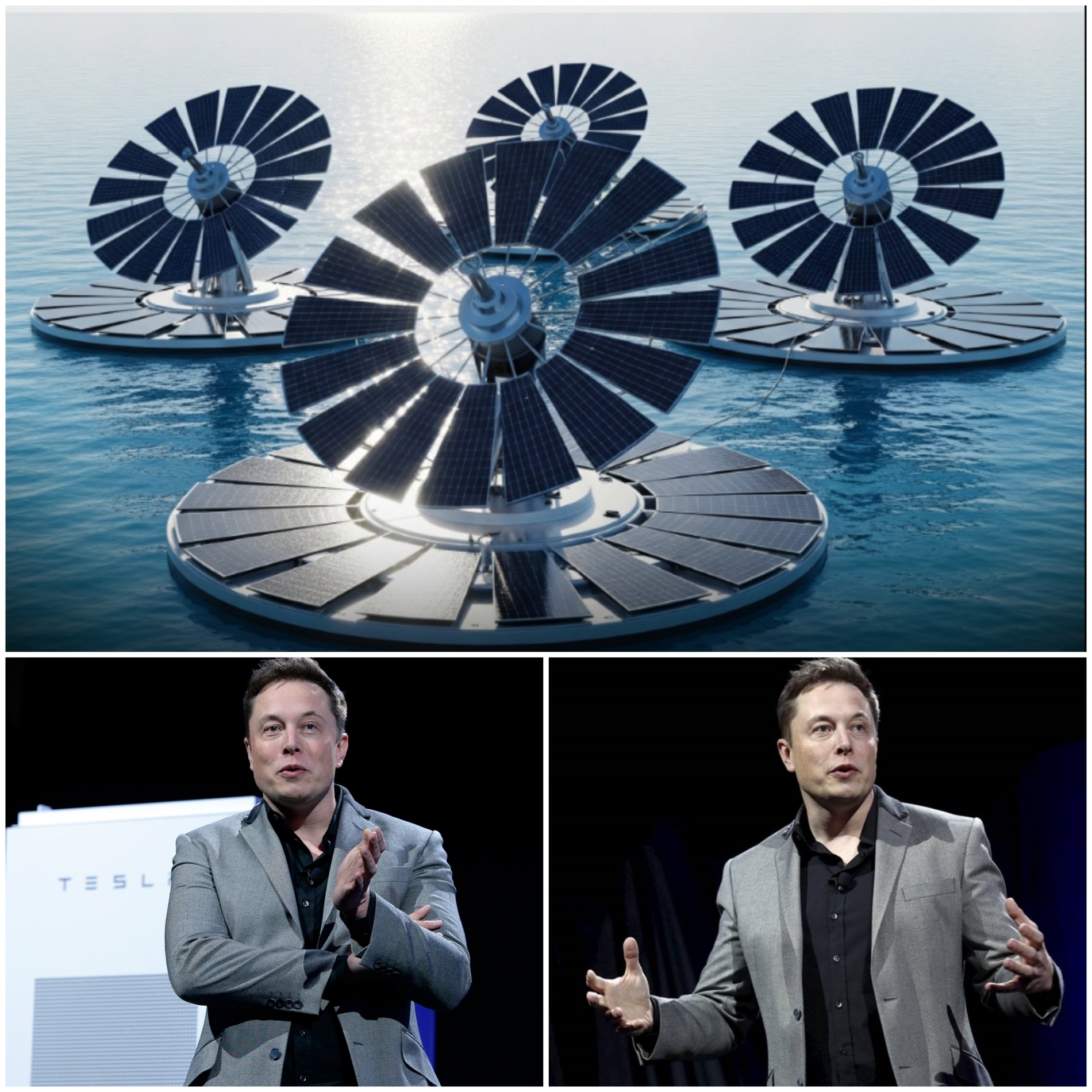 Elon Musk’s Floating Solar Islands: Can They Revolutionize Clean Energy ...