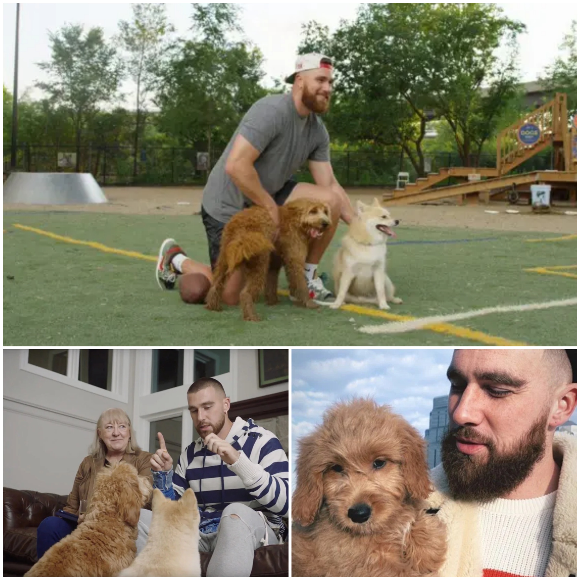 “ALL 39 DOGS DESERVE A TOMORROW”: TRAVIS KELCE’S QUIET ACT OF KINDNESS ...