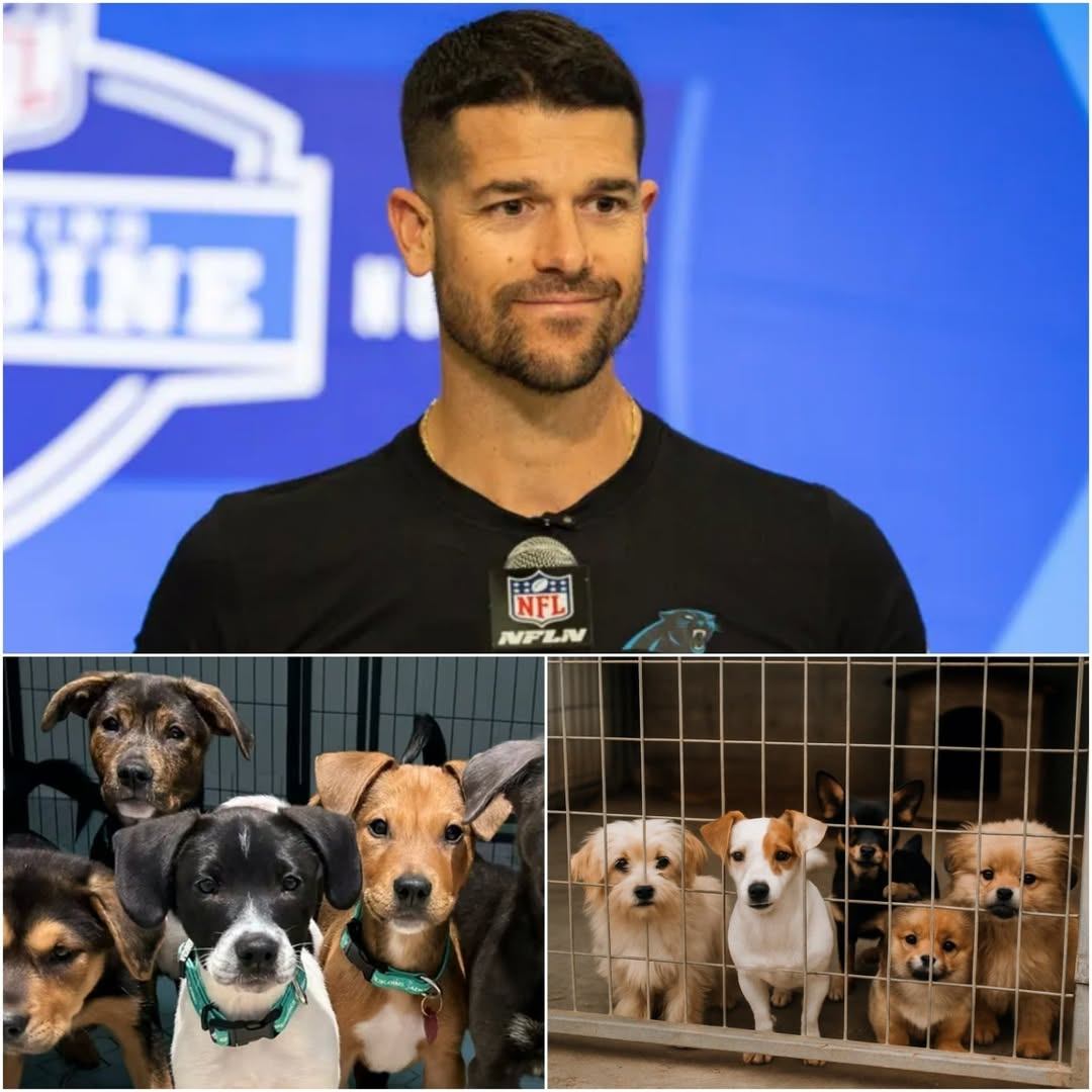 GOOD NEWS ️Carolina Panthers head coach Dave Canales is bringing ...