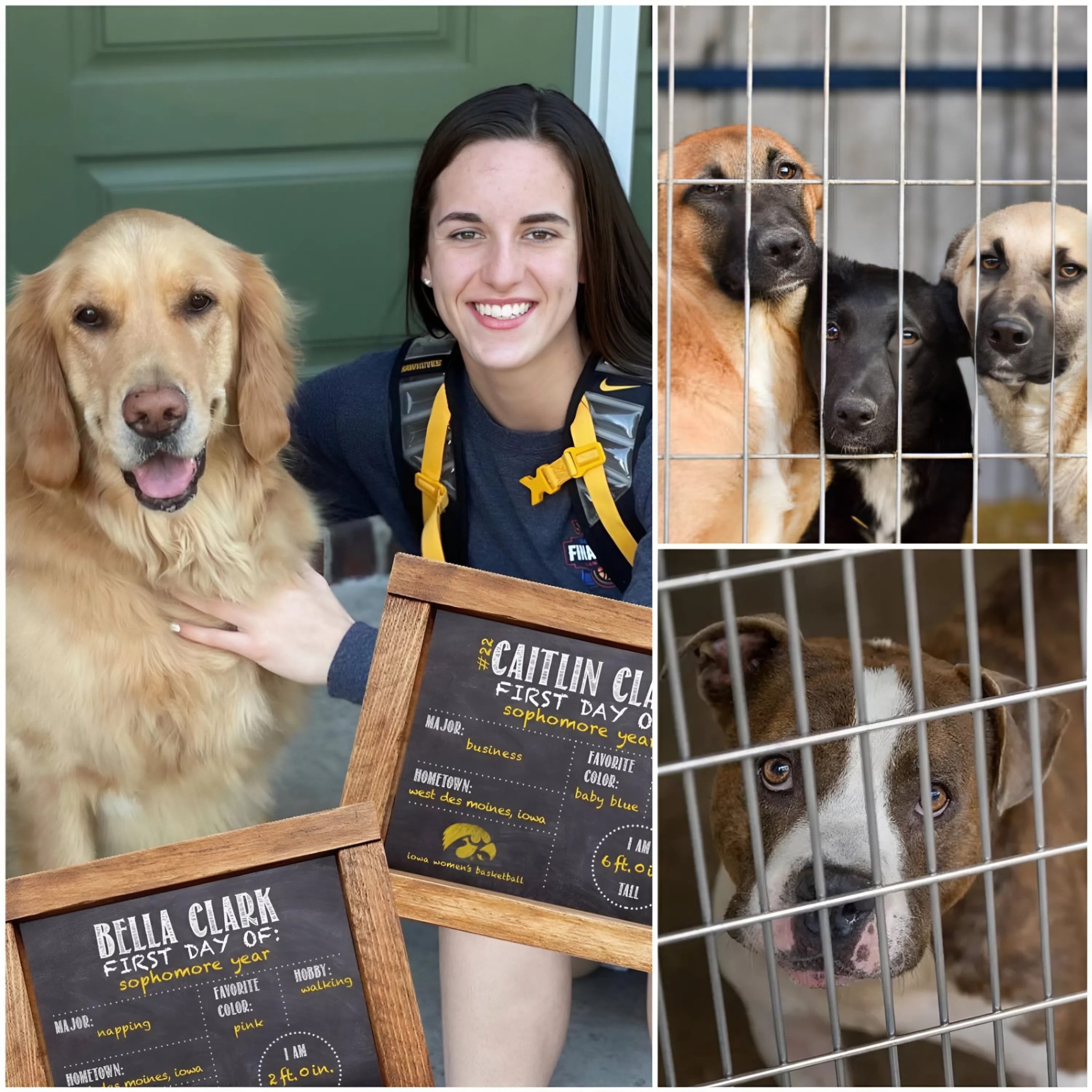 WHEN NO ONE WAS WATCHING: HOW CAITLIN CLARK SAVED 39 LIVES AND REMINDED ...