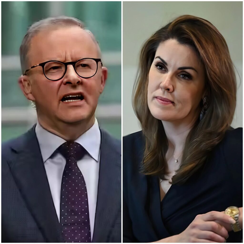 BREAKING: Peta Credlin and Anthony Albanese Clash in Fiery Live TV ...